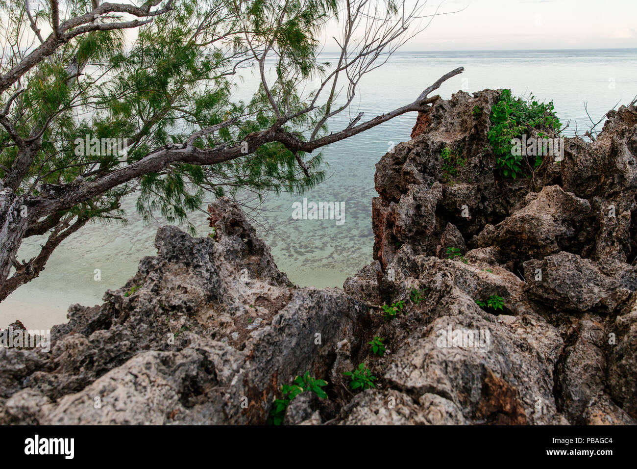 Incoming tide at dawn at a rocky inlet Stock Photo - Alamy