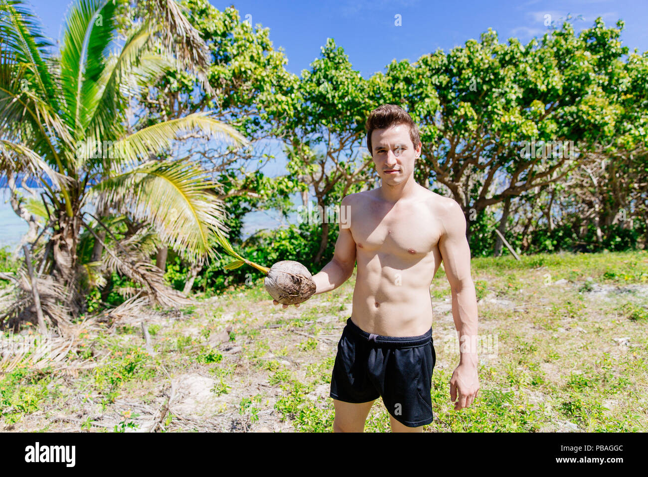 Man climbing coconut tree in hi-res stock photography and images - Alamy