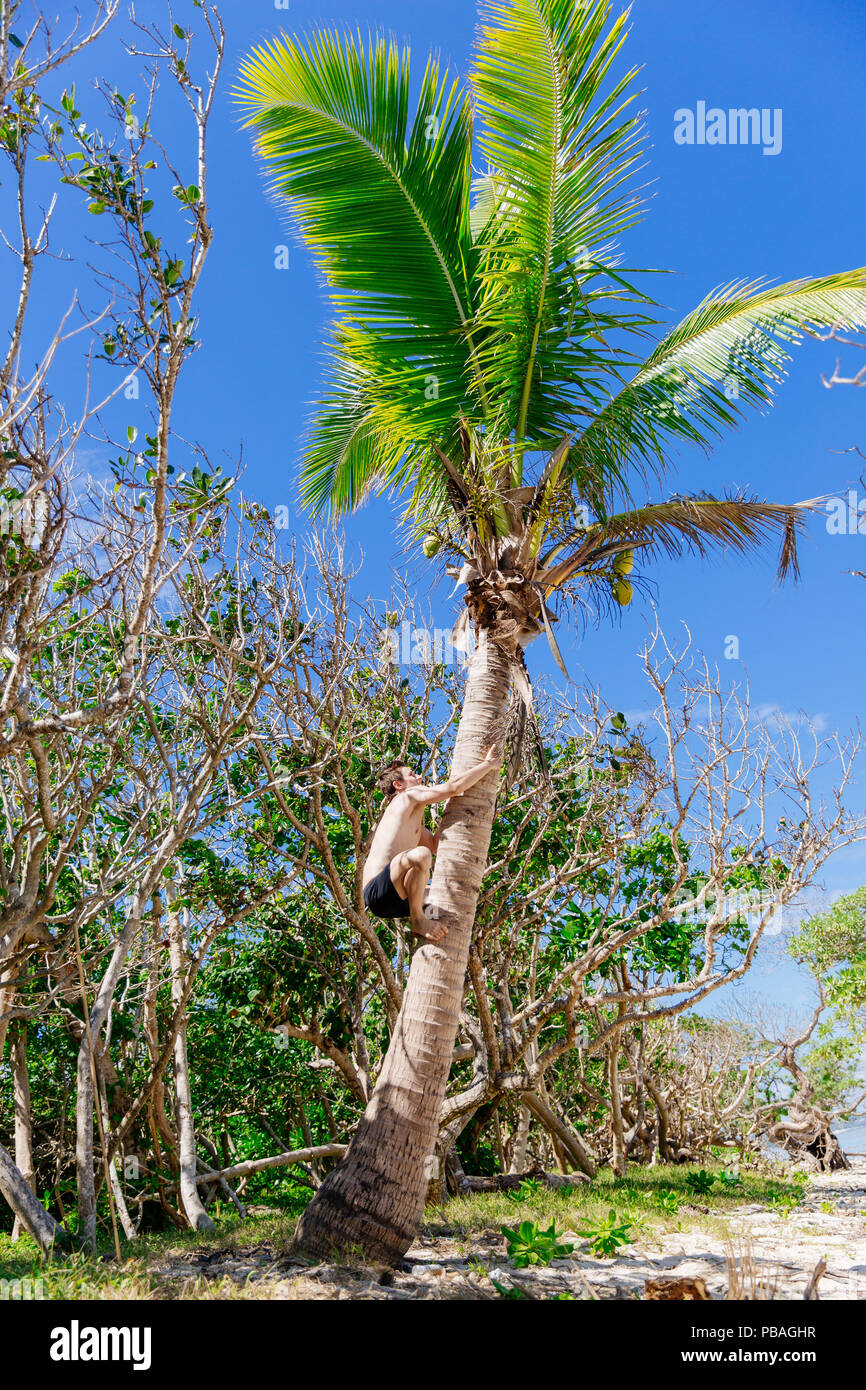 Agriculture In Fiji Stock Photos & Agriculture In Fiji Stock Images - Alamy