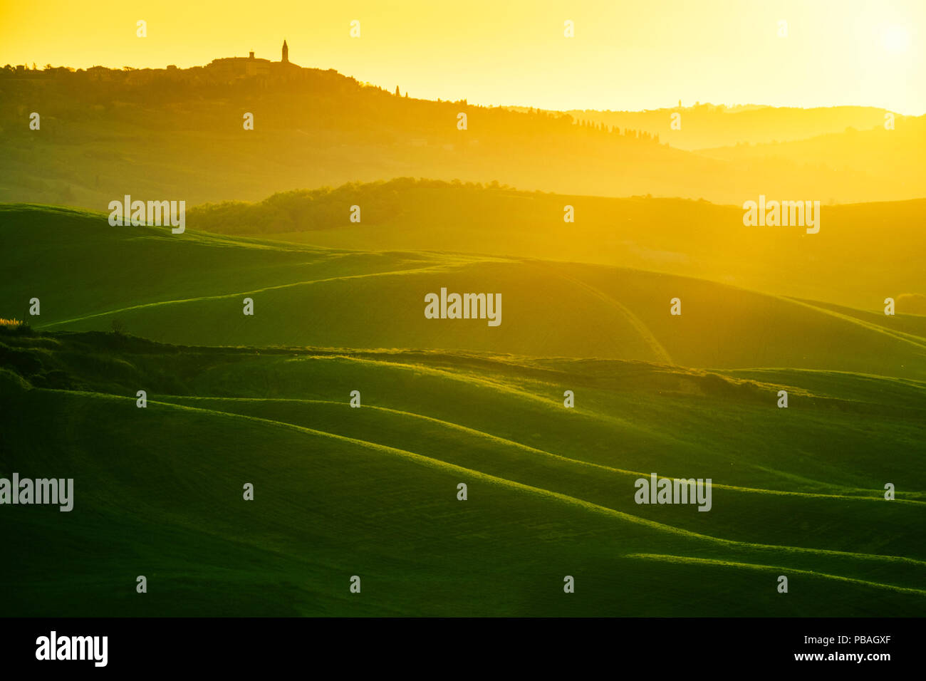 Waves hills, rolling hills, minimalistic landscape with green fields in ...