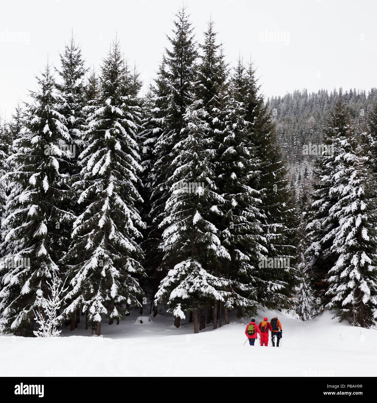 Trekking on snow slope in hi-res stock photography and images - Alamy