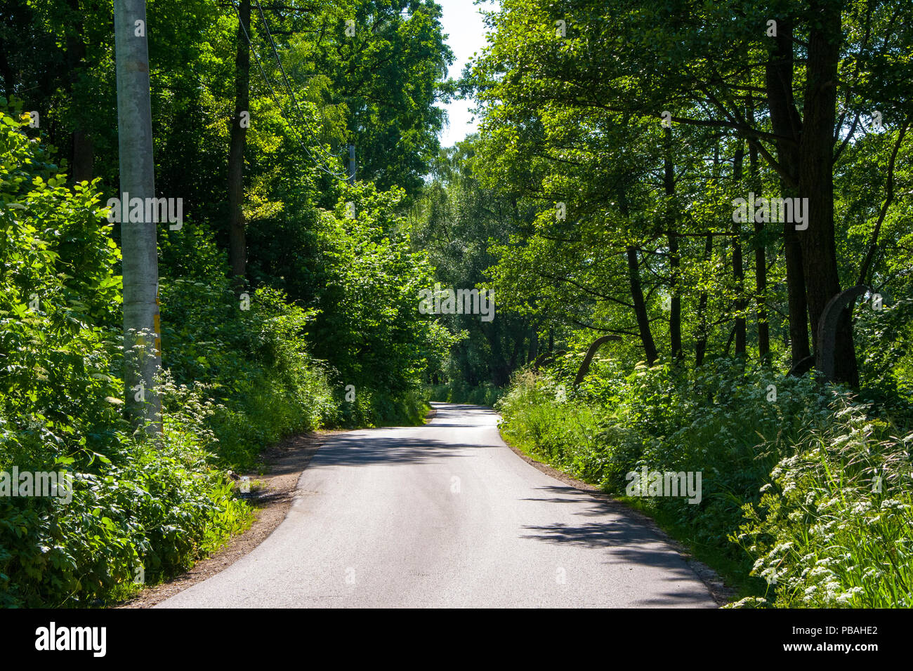Green roadsides hi-res stock photography and images - Alamy