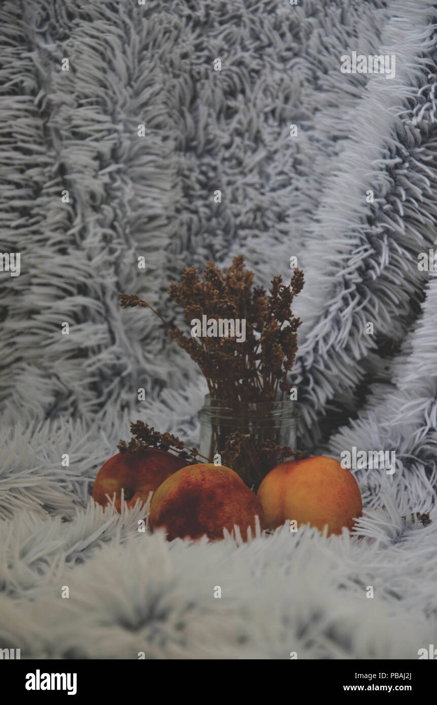 Peach and purple flowers hi-res stock photography and images - Alamy