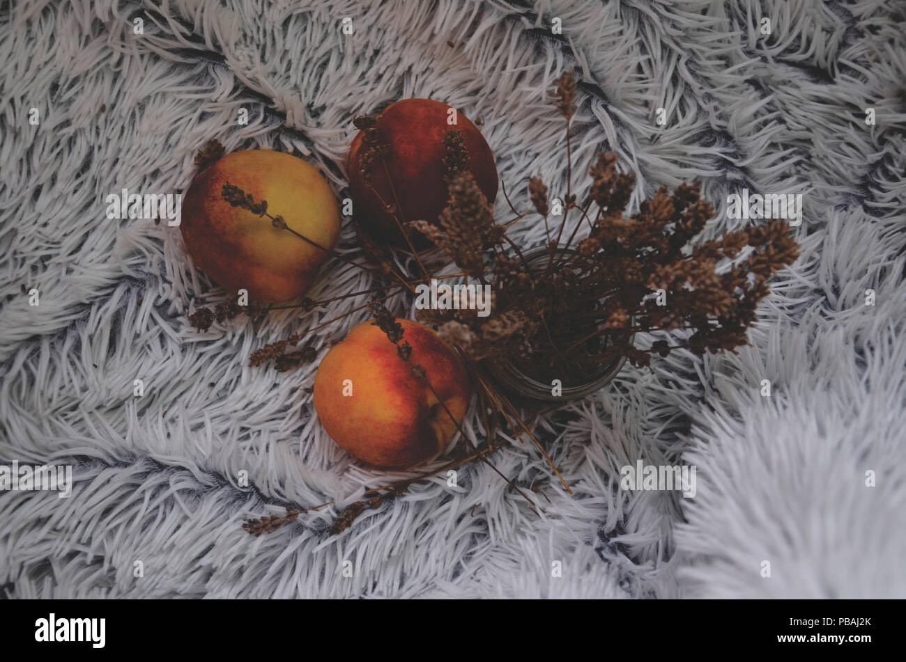 Peach and purple flowers hi-res stock photography and images - Alamy