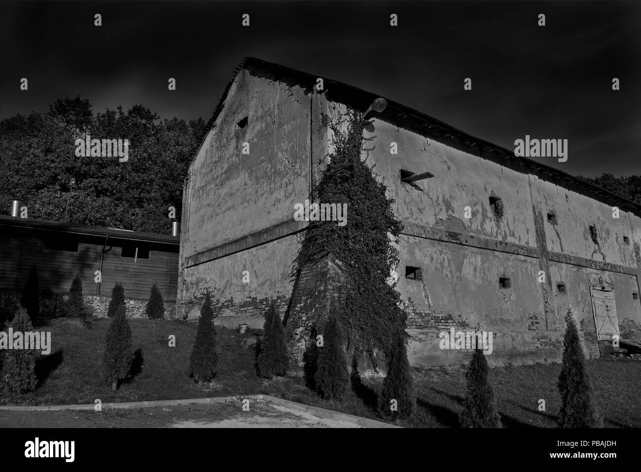 Dark sky park Black and White Stock Photos & Images - Alamy