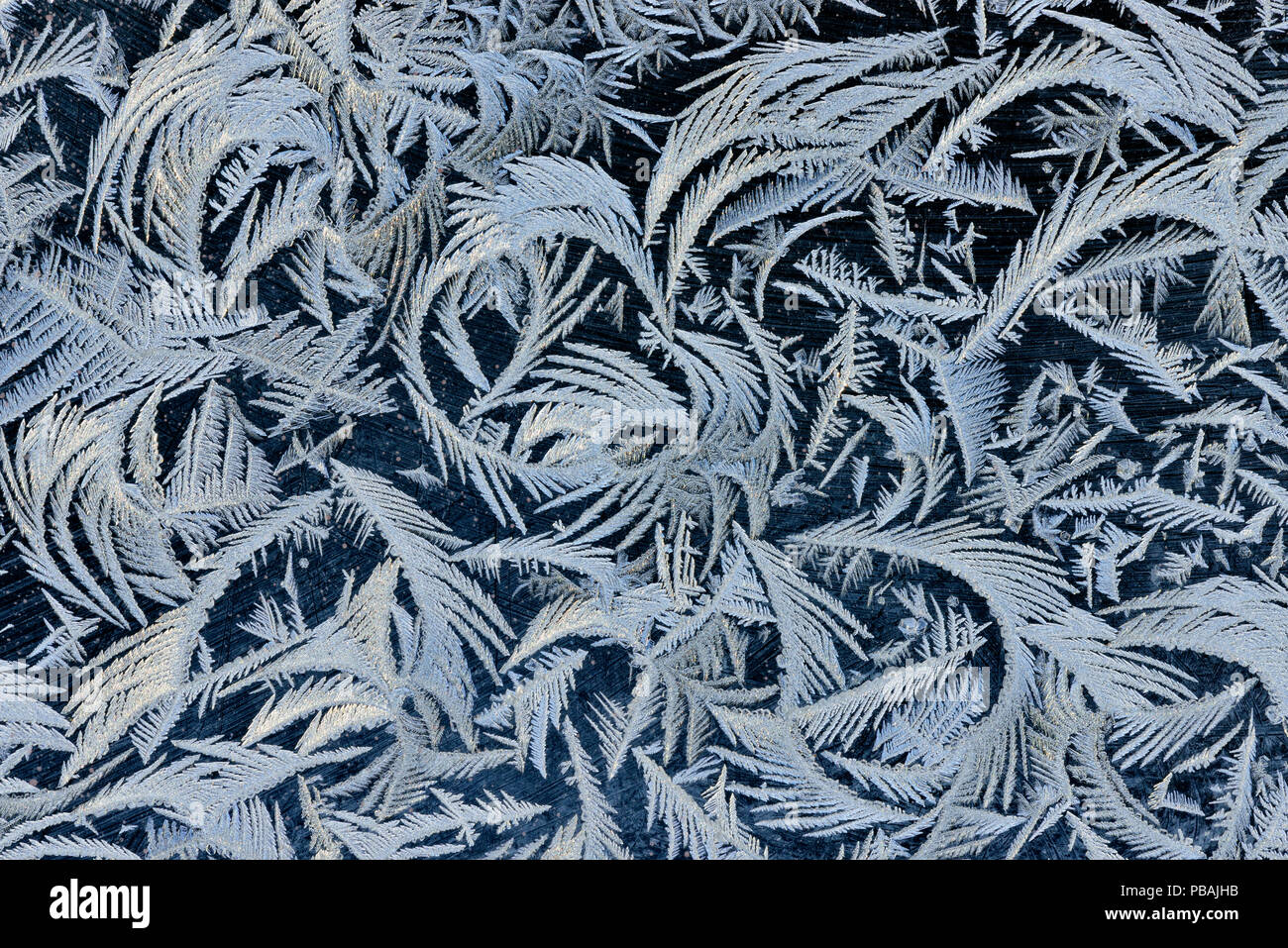 Frosted glass windows hi-res stock photography and images - Alamy