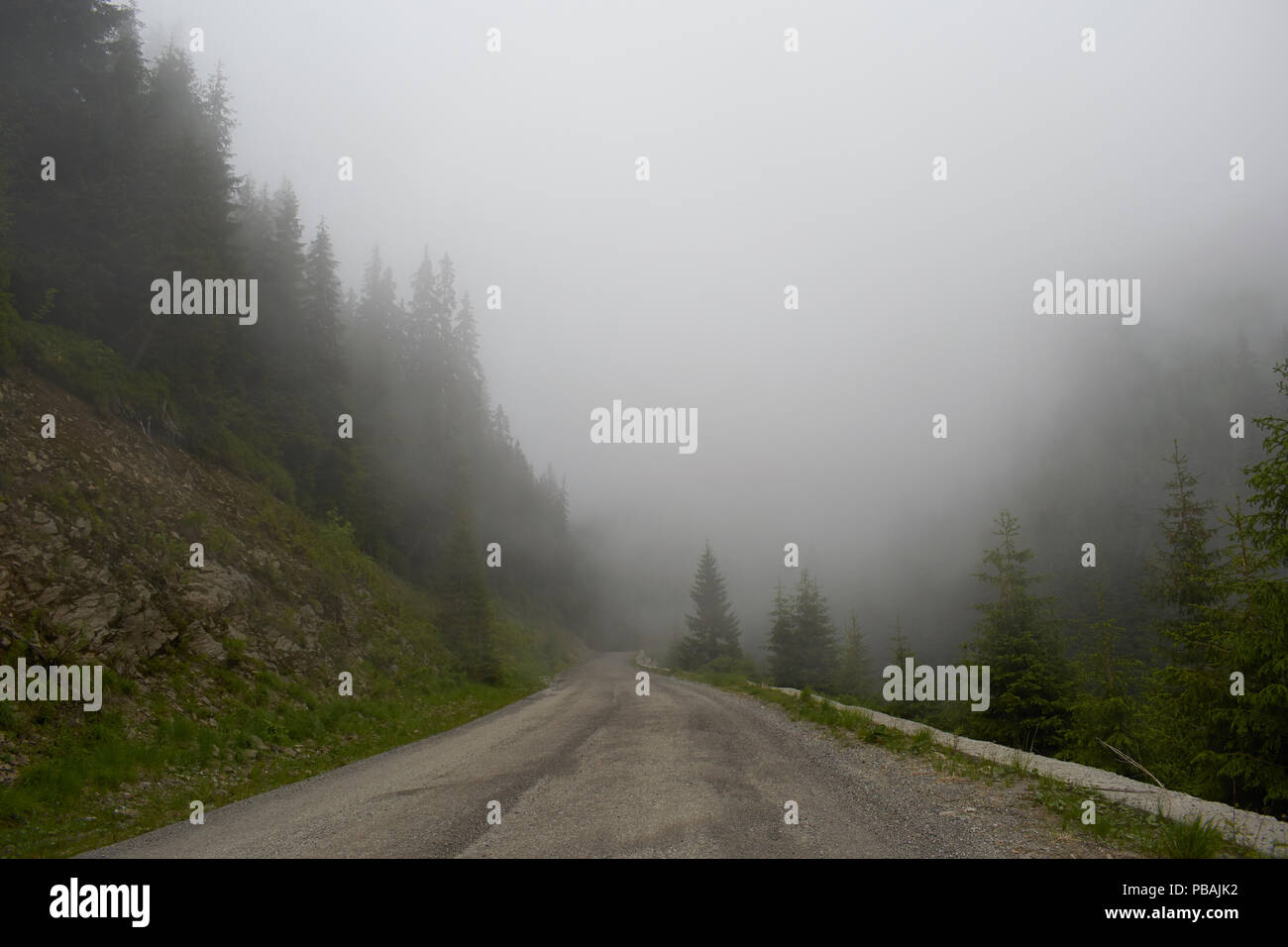 Scary road at night hi-res stock photography and images - Alamy