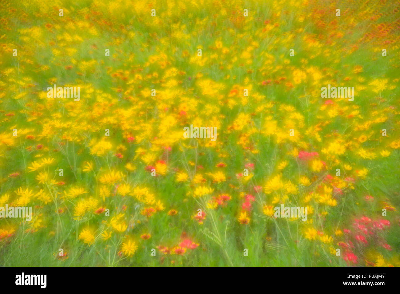 American attractions hi-res stock photography and images - Alamy