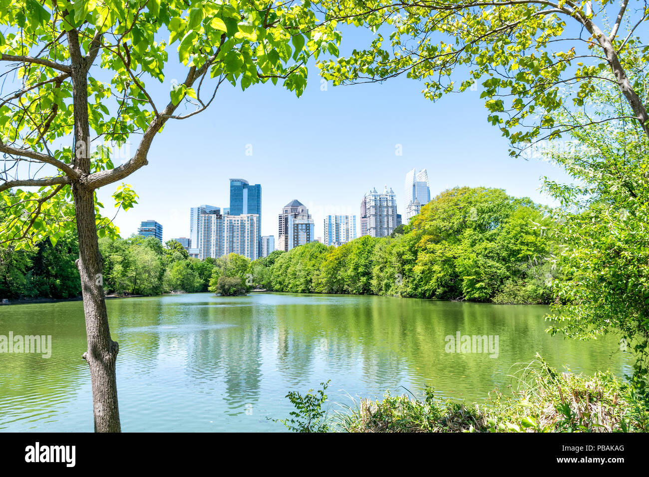 Cityscape, skyline view in Piedmont Park in Atlanta, Georgia looking ...