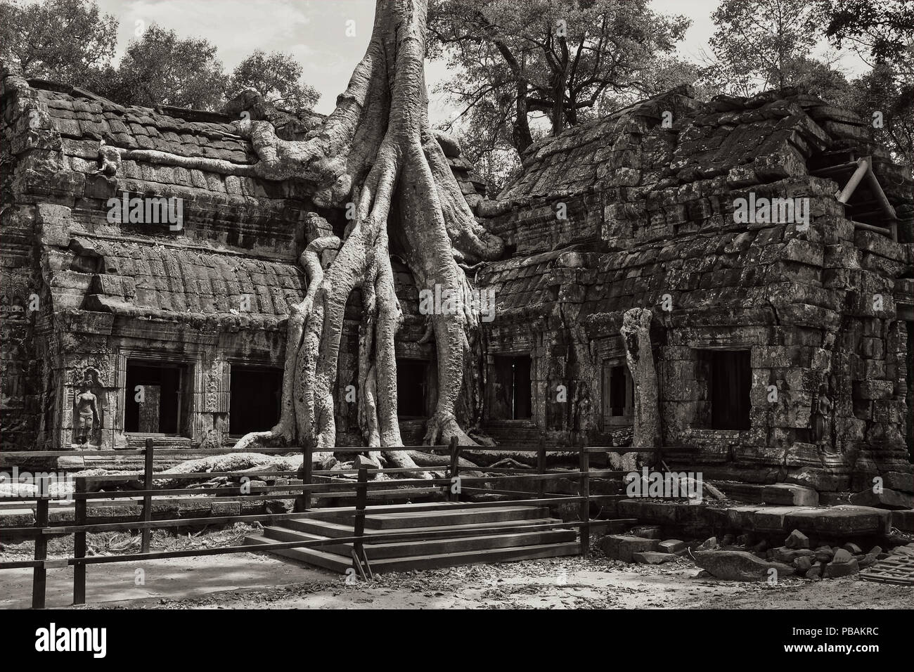 Angkor Archaeological Park Stock Photo - Alamy
