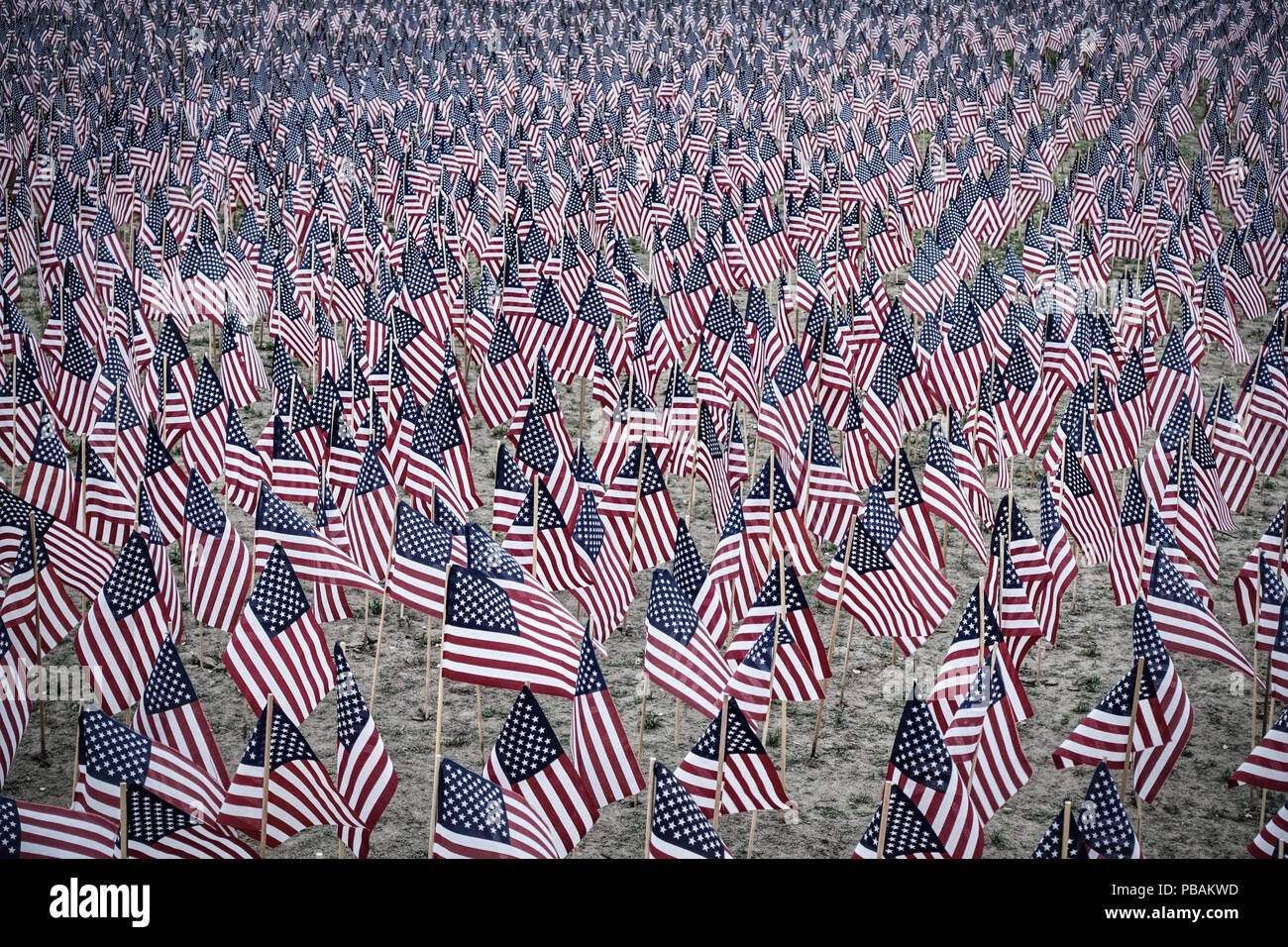 Celebrate The United States of America Stock Photo - Alamy