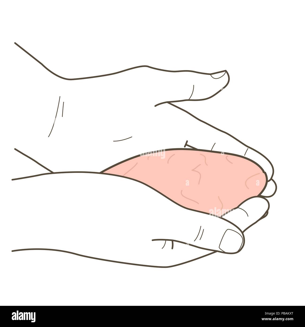 Cooking food hands chef Stock Vector Images - Alamy