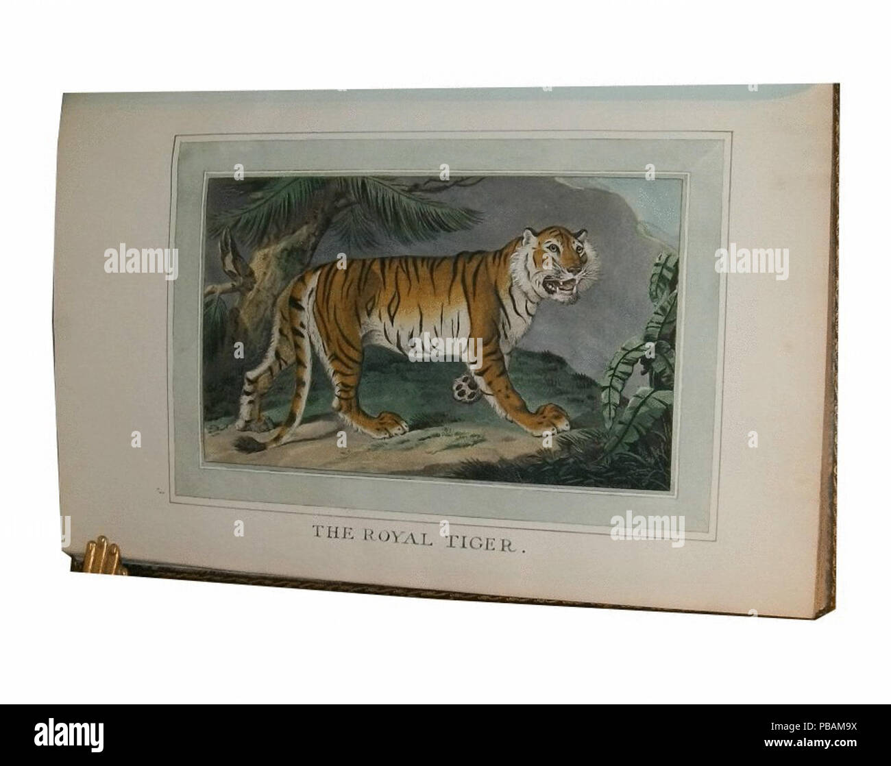 Royal re Cut Out Stock Images & Pictures - Alamy