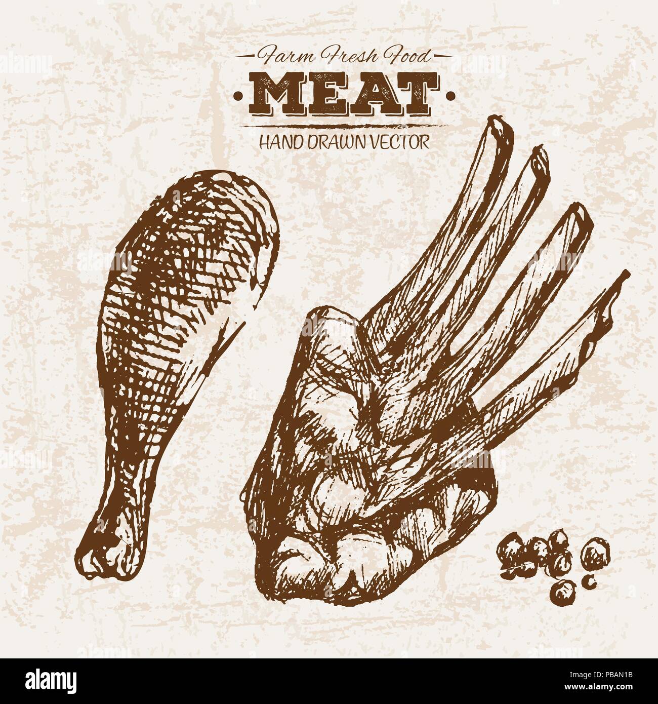 Hand drawn sketch steak meat products set with ribs, farm fresh food ...