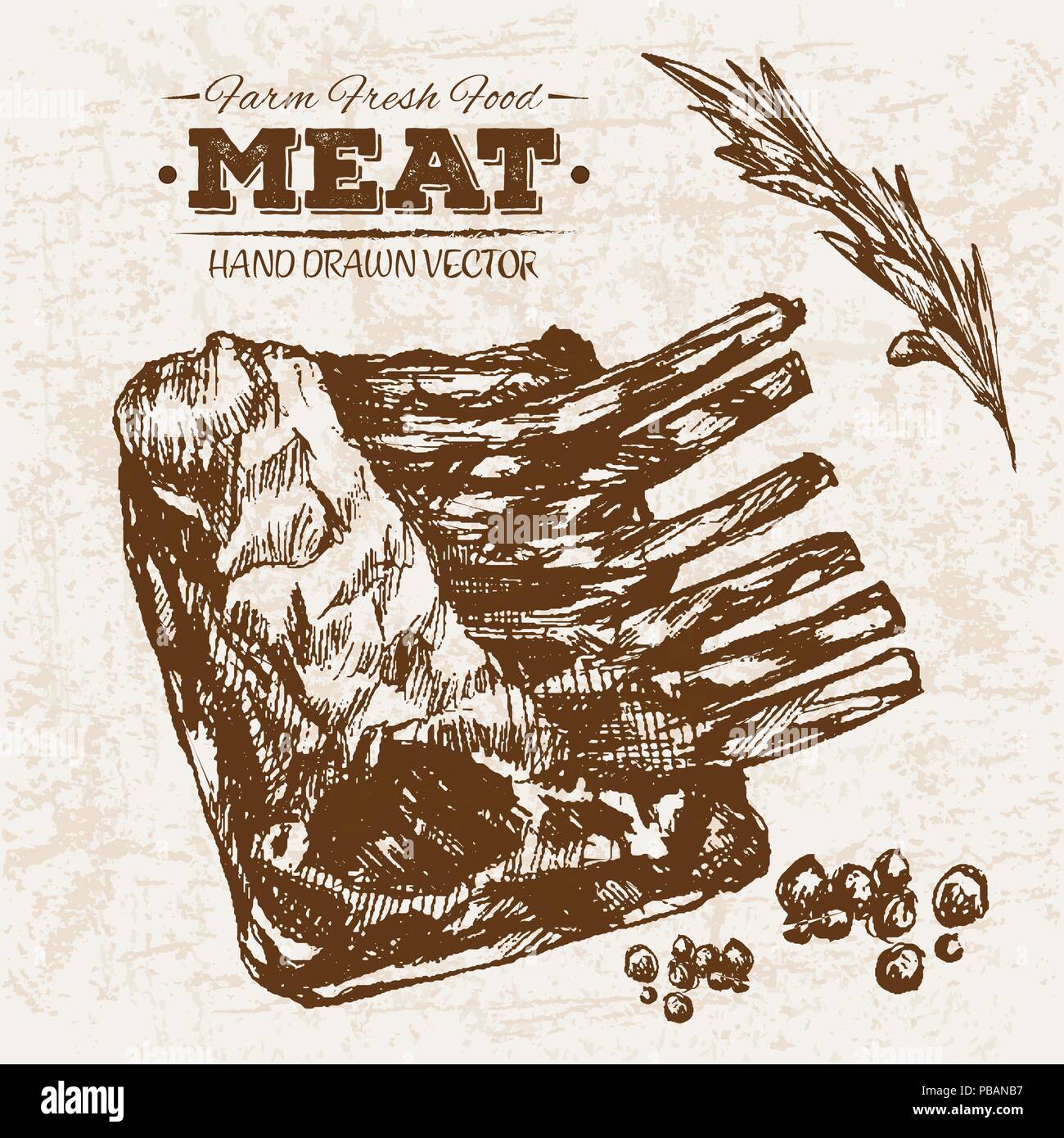 Hand drawn sketch steak meat products set with ribs, farm fresh food ...