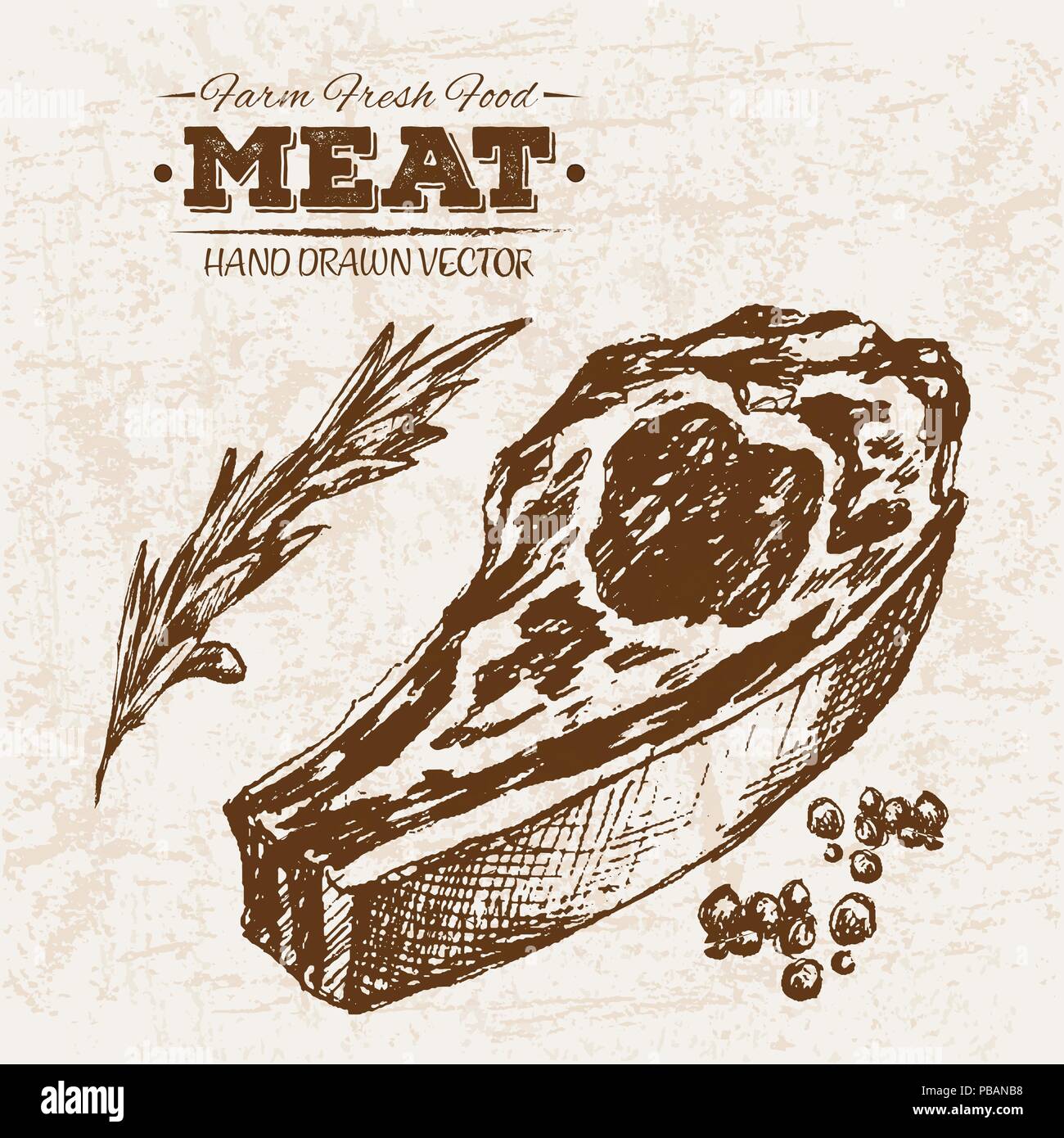Hand drawn sketch steak meat products set with ham and fat, farm fresh ...
