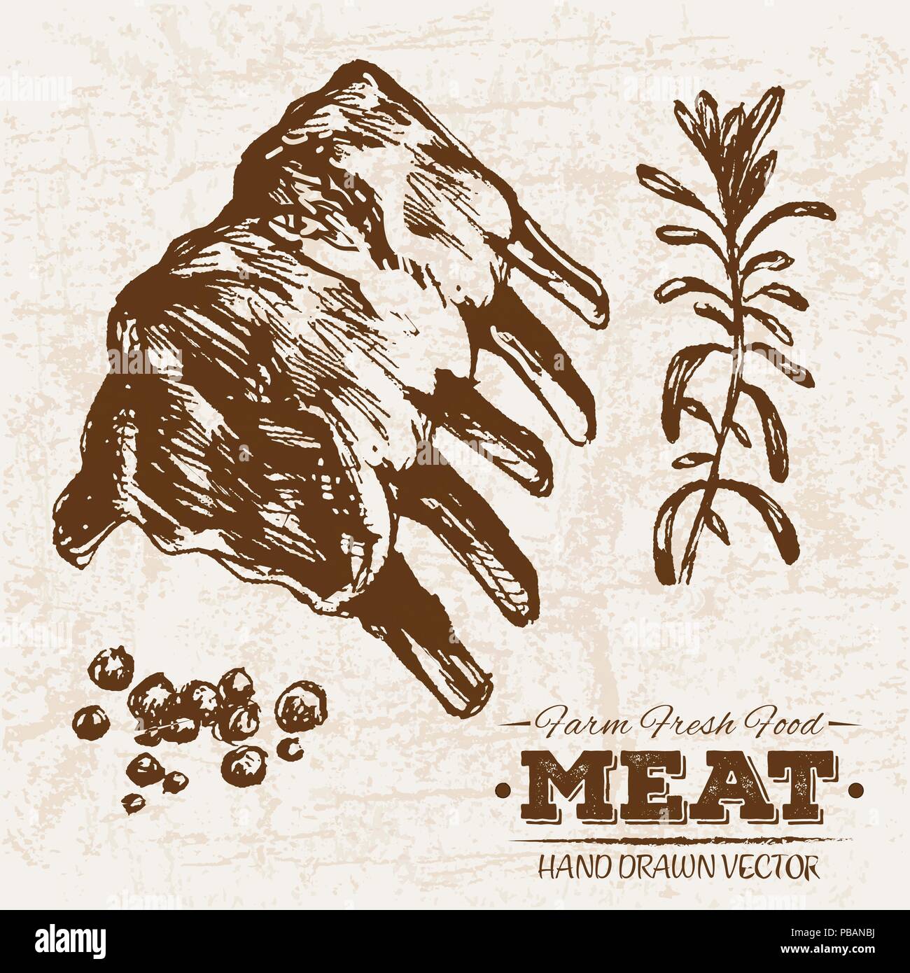 Hand drawn sketch steak meat products set with ribs, farm fresh food ...