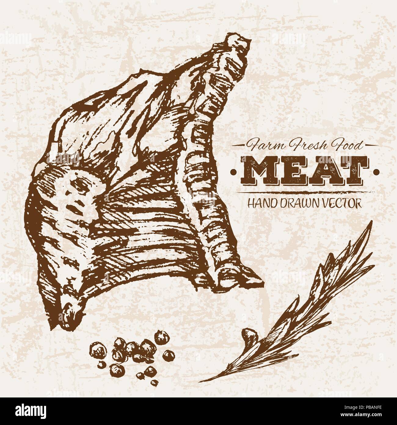Hand drawn sketch steak meat products set with ribs, farm fresh food ...