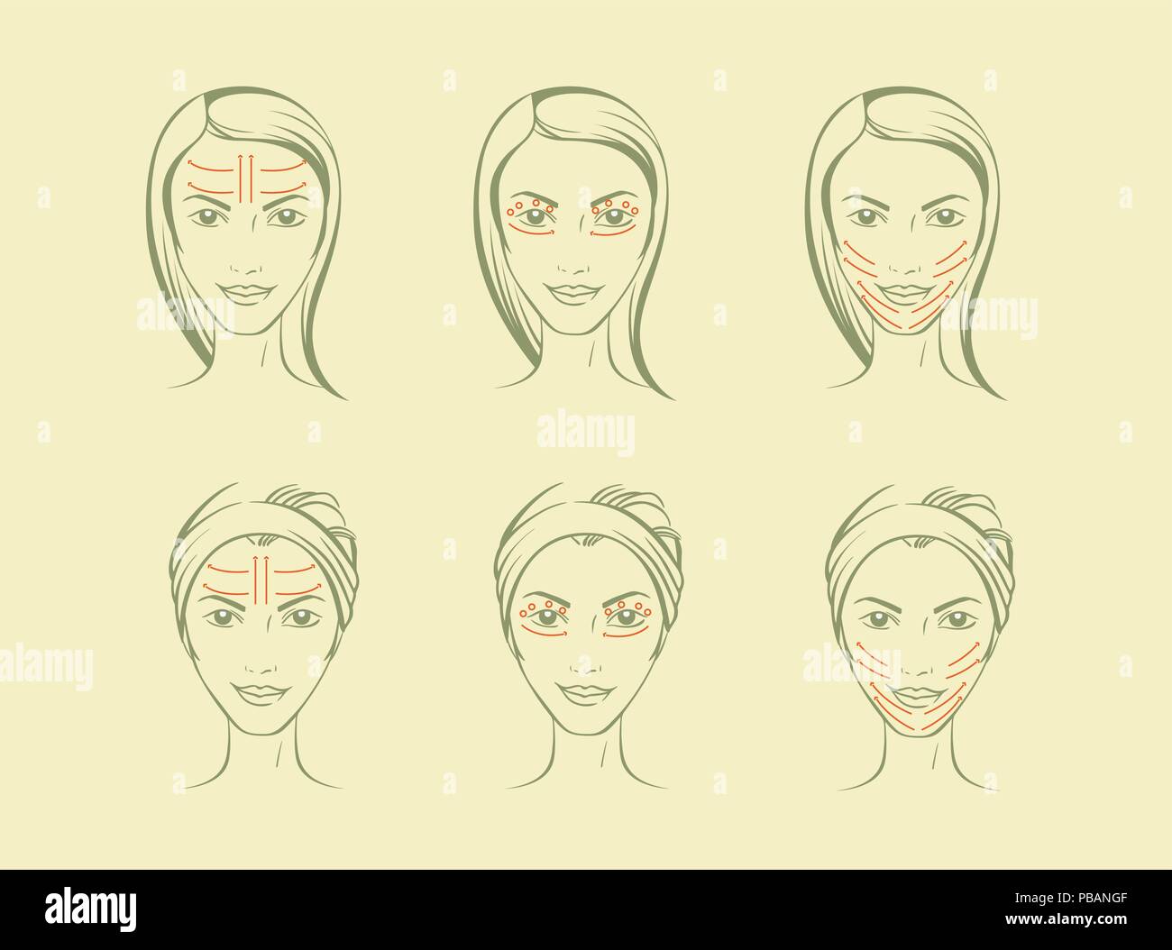 Vector portrait of young woman with massage lines, face massage layout ...