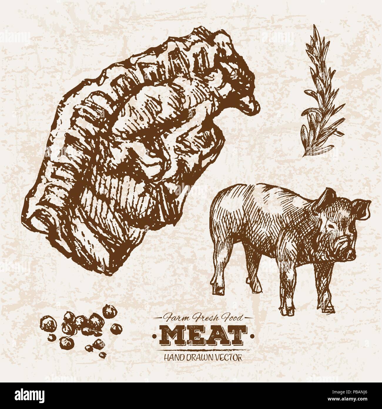 Hand drawn sketch pork steak meat products set with ribs, farm fresh ...