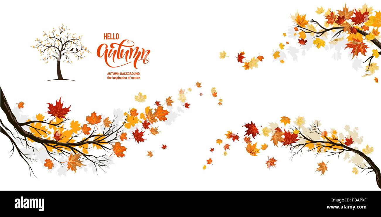 Nature fall branches Stock Vector Image & Art - Alamy