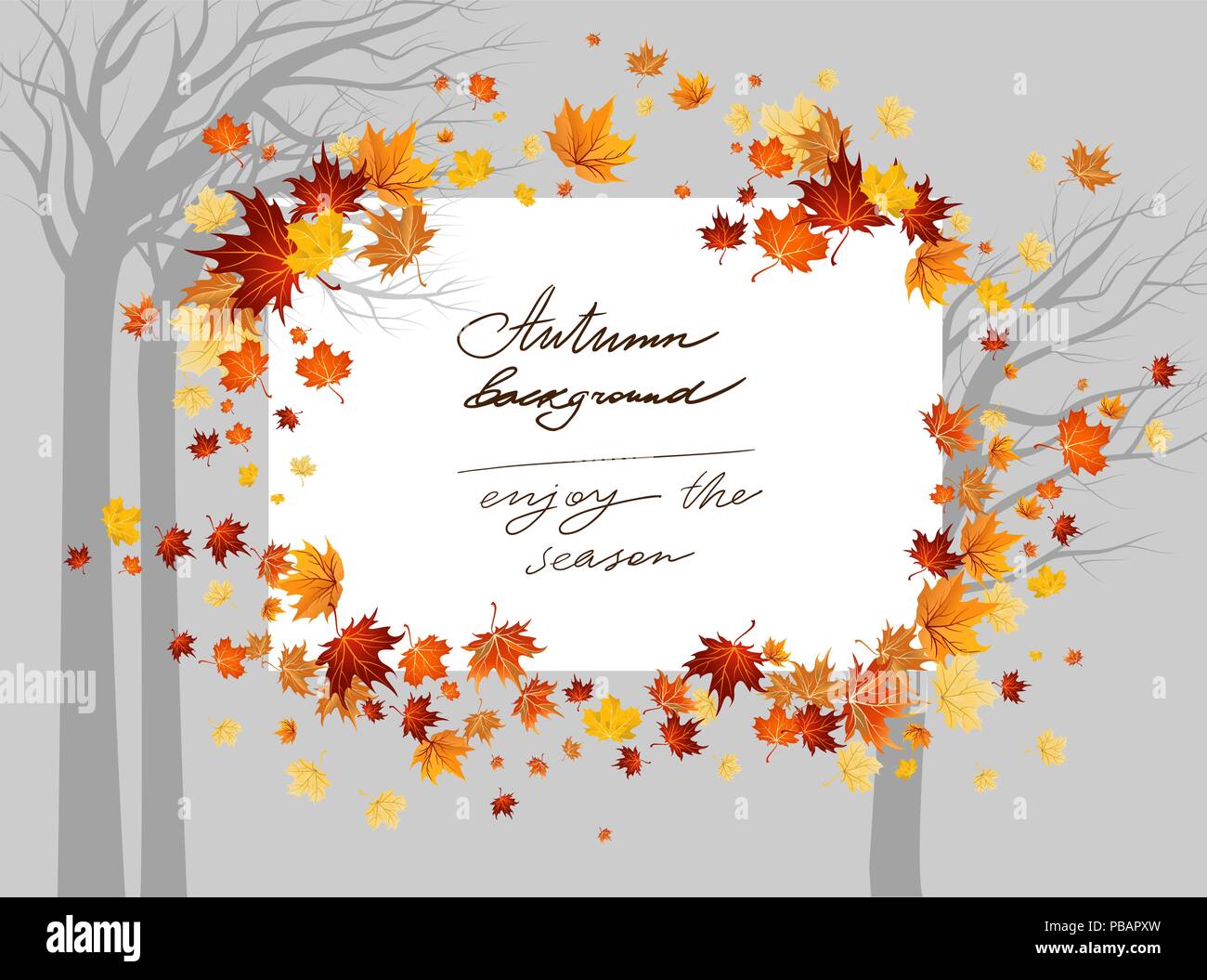 Fall maple trees Stock Vector Image & Art - Alamy