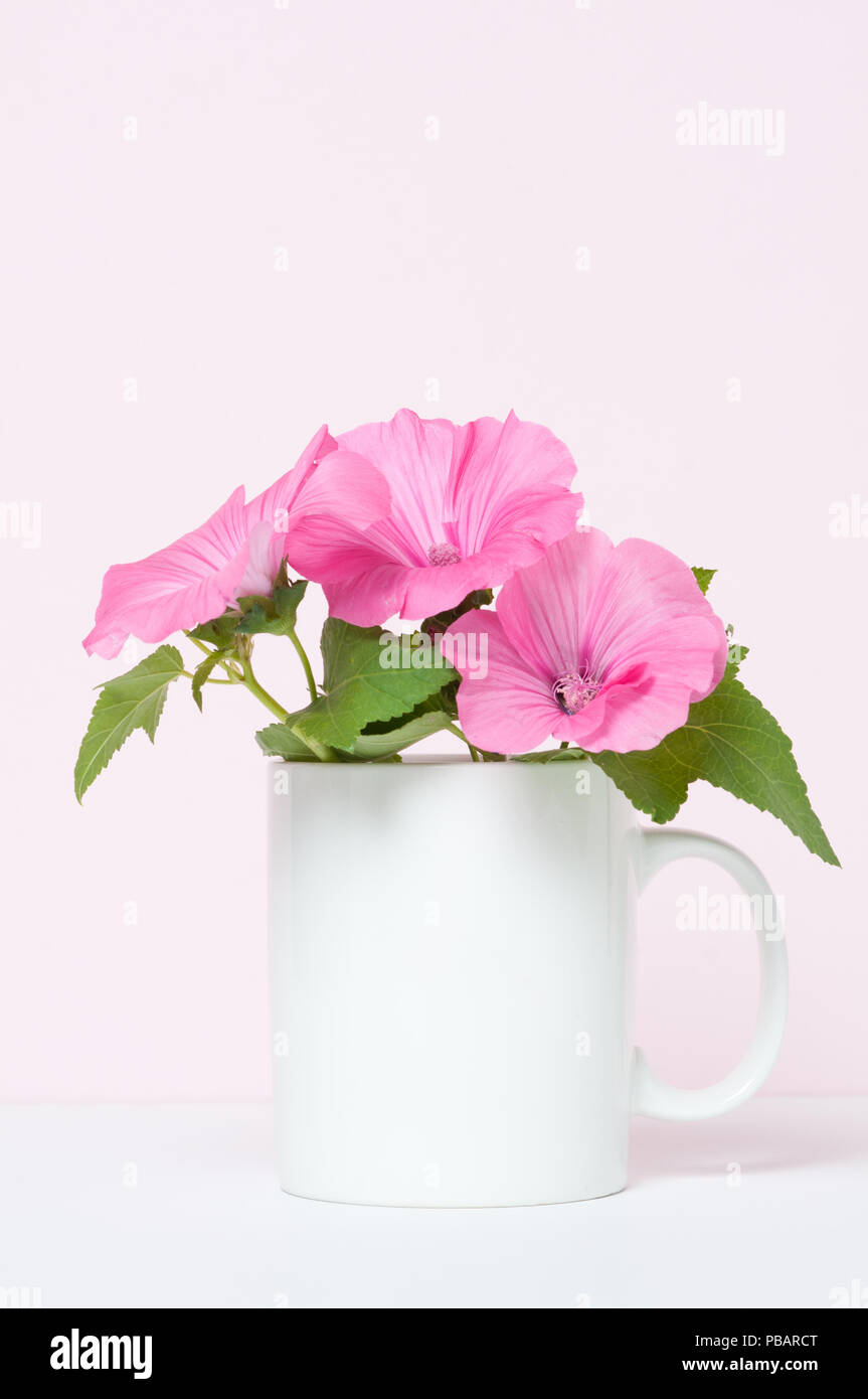 Styled product mock up hi-res stock photography and images - Alamy