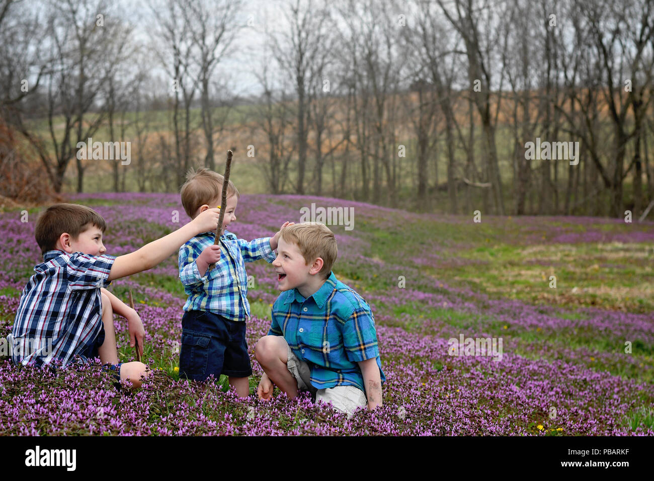Three brothers together portrait Stock Photo - Alamy