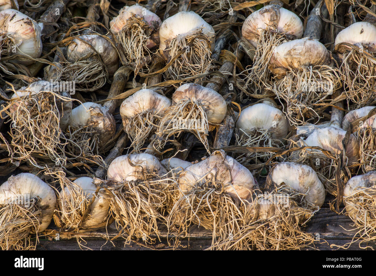 Garlic set hi-res stock photography and images - Alamy