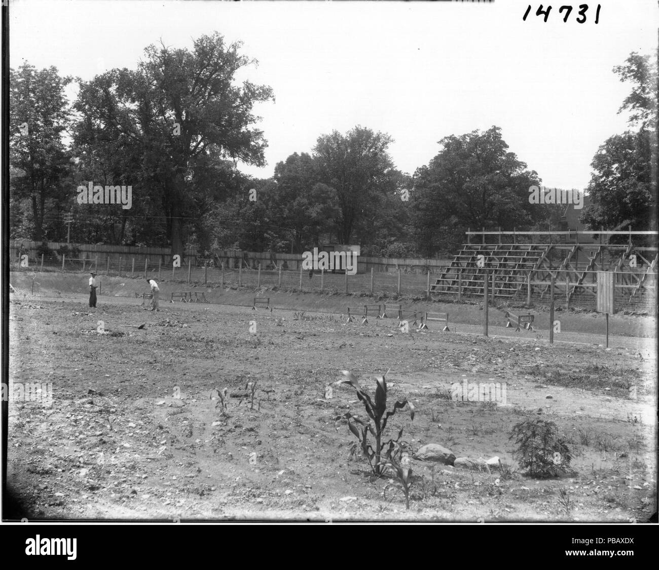Landscape photo field in Black and White Stock Photos & Images - Alamy