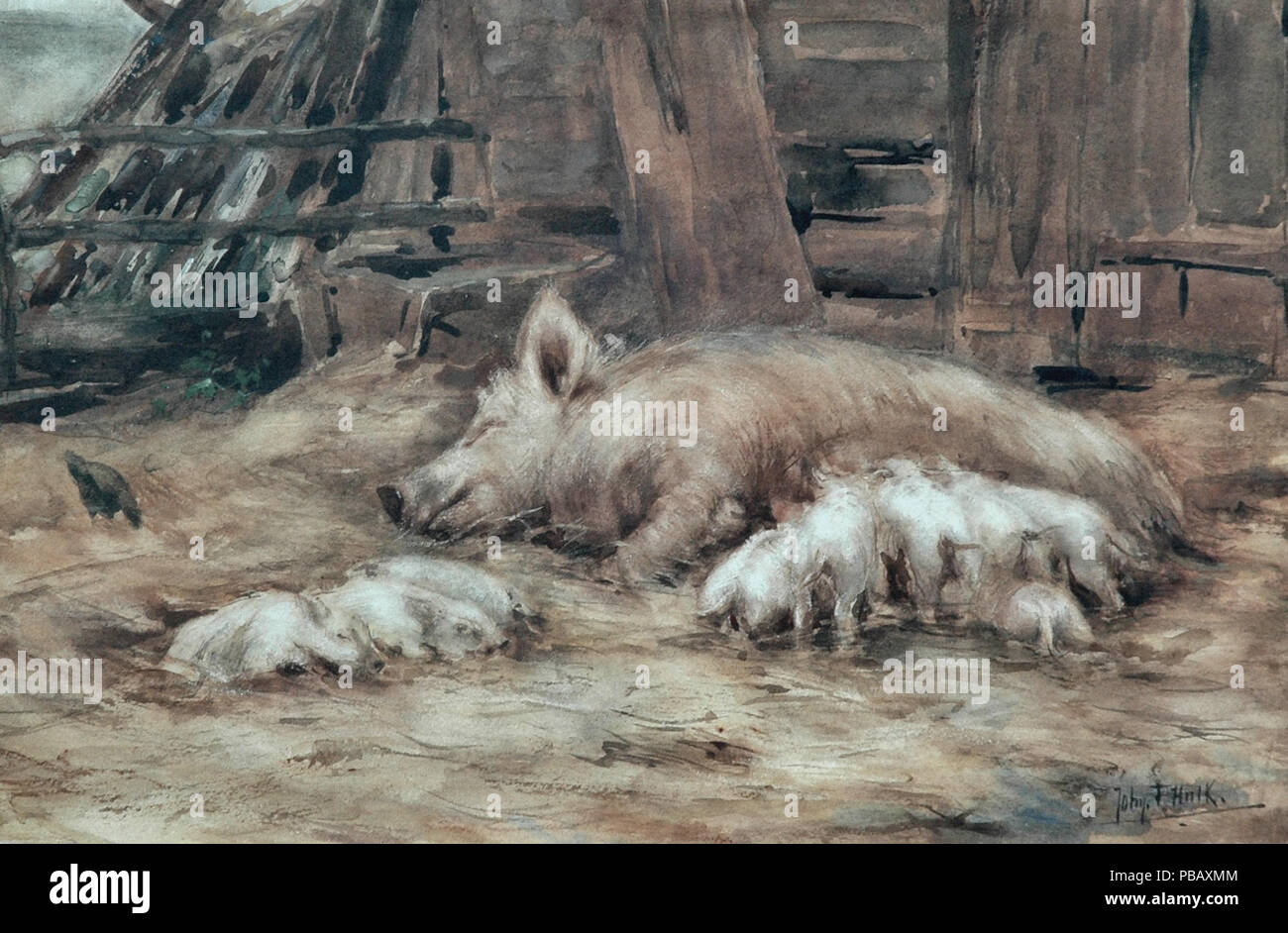 Hulk II Johannes Frederik - Zeug Met Biggen in Het Stro Stock Photo - Alamy