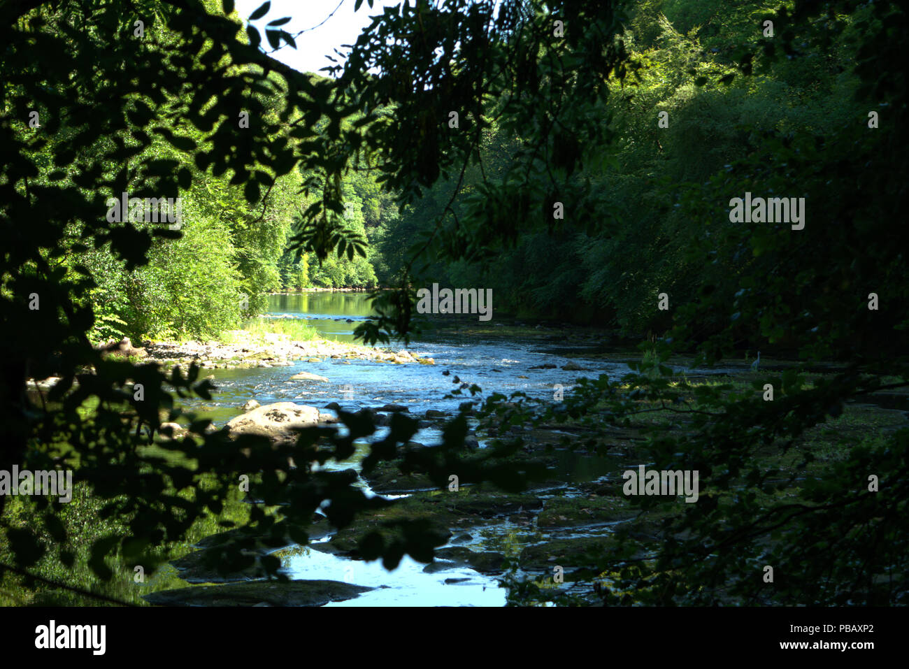 River Ayr at Failford Stock Photo - Alamy