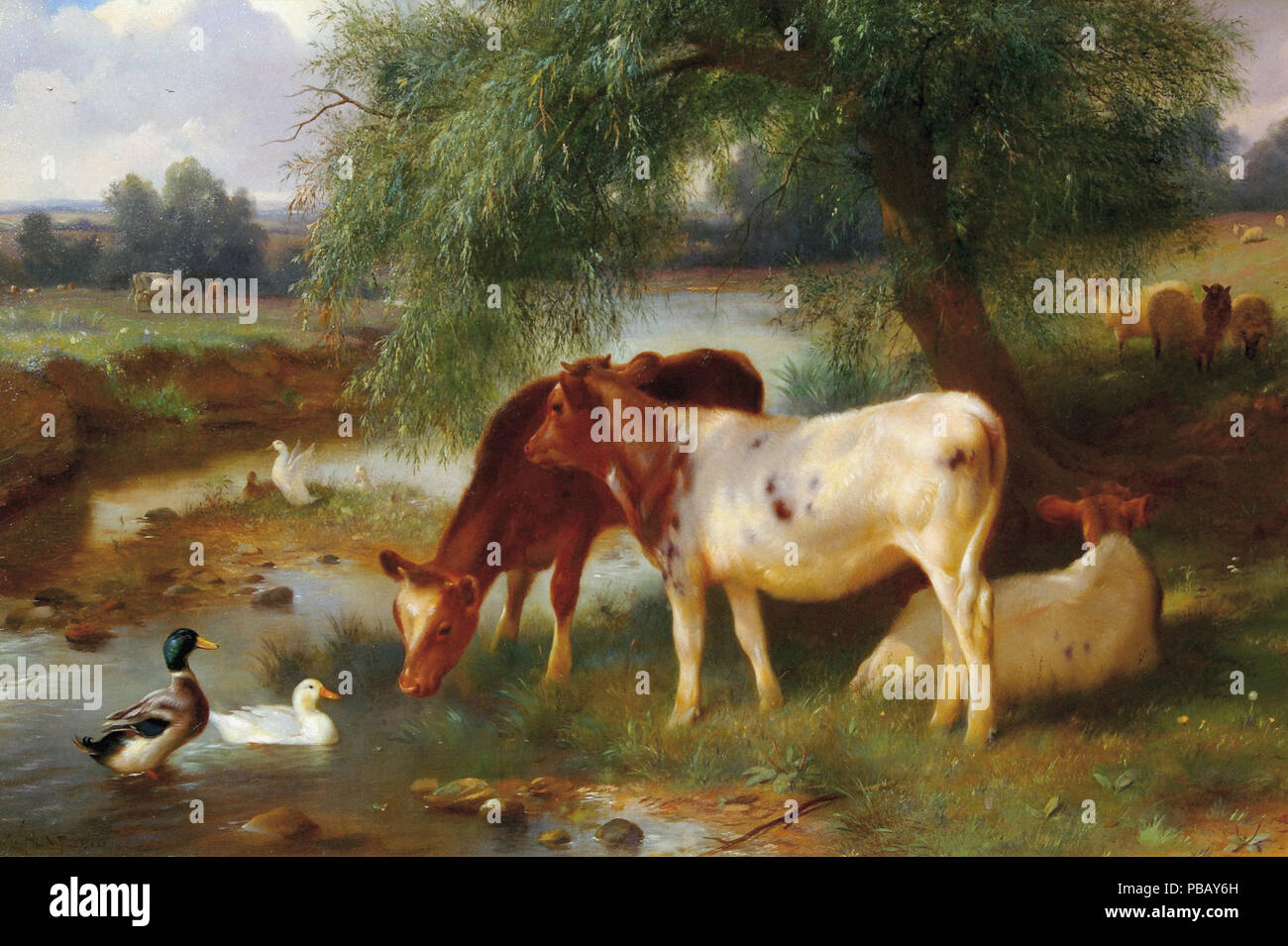 Hunt Walter - Calves Watering in the Shade Stock Photo - Alamy