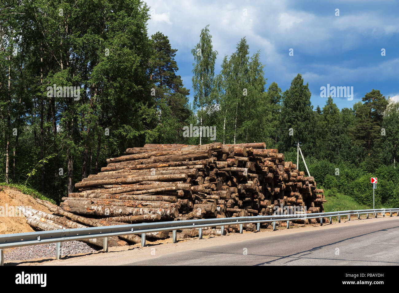 Forest trees deforestation for the construction of the new city ...