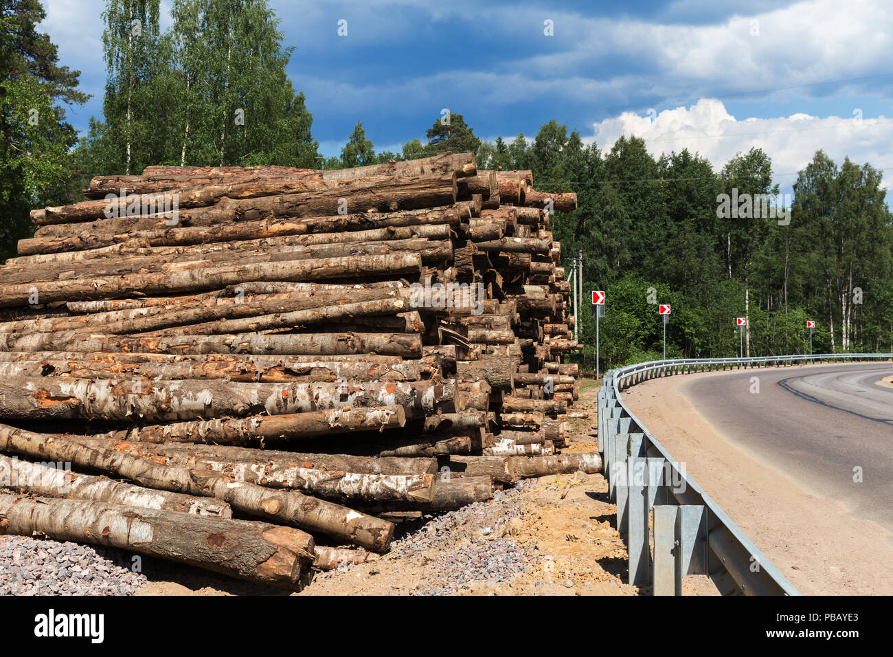 Forest trees deforestation for the construction of the new city ...
