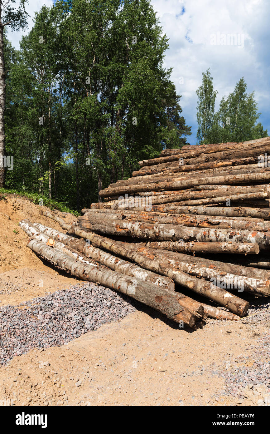 Forest trees deforestation for the construction of the new city ...