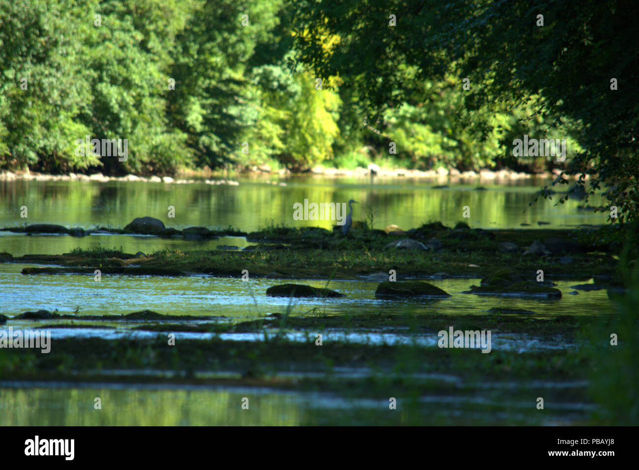 River Ayr at Failford Stock Photo - Alamy