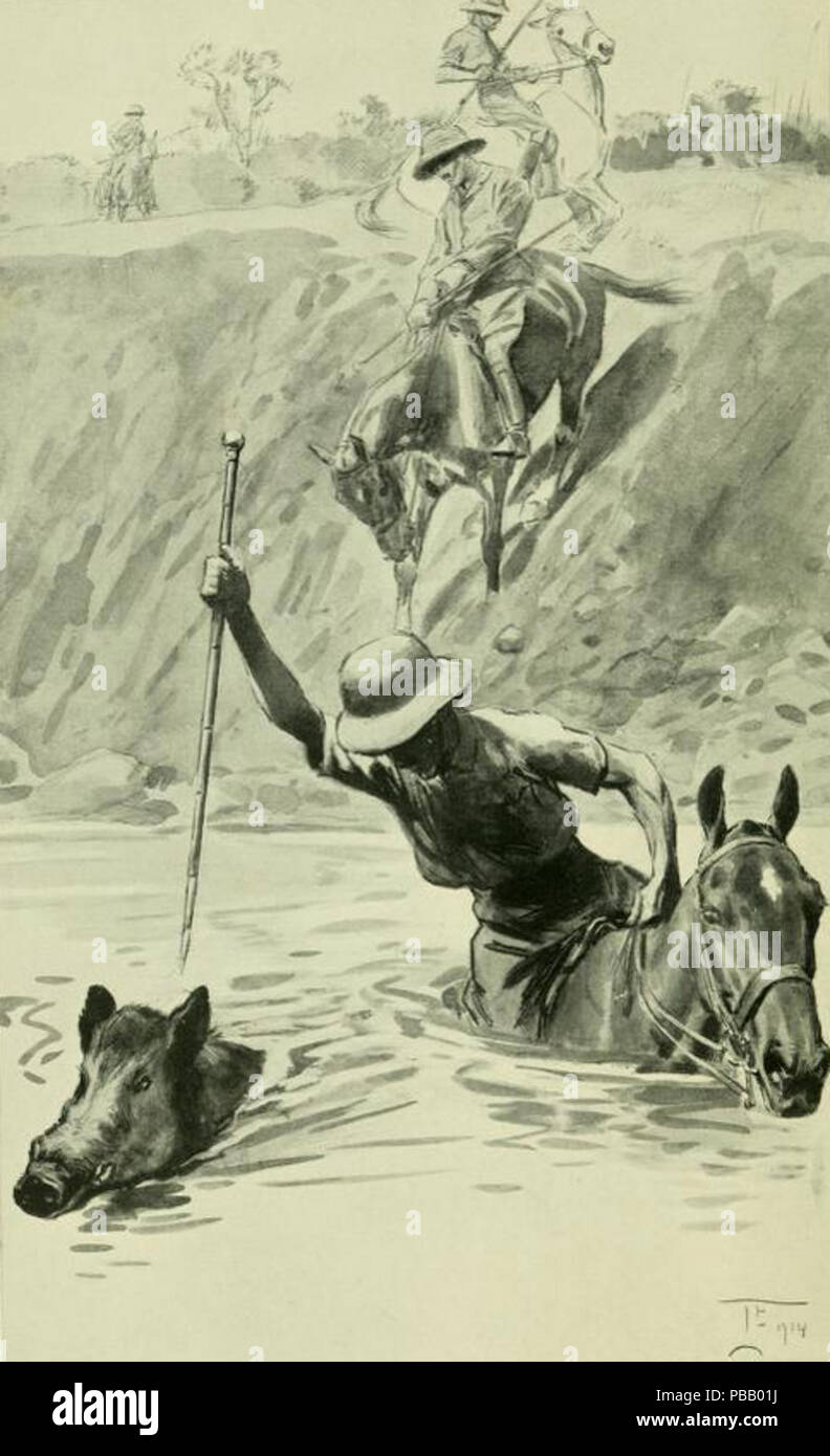 Pig sticking hi-res stock photography and images - Alamy