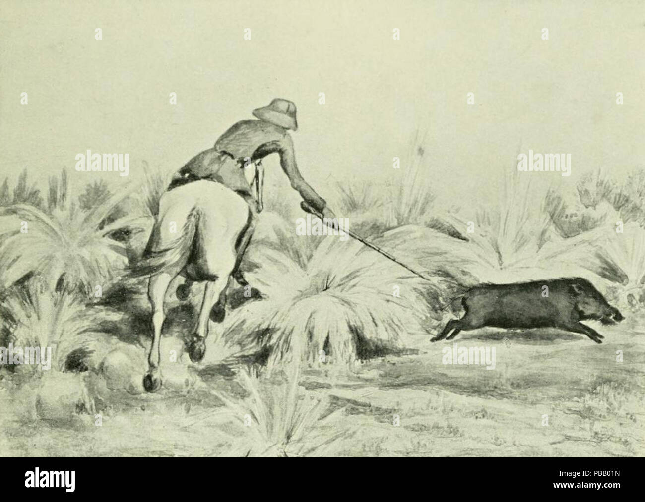 Pig sticking hi-res stock photography and images - Alamy