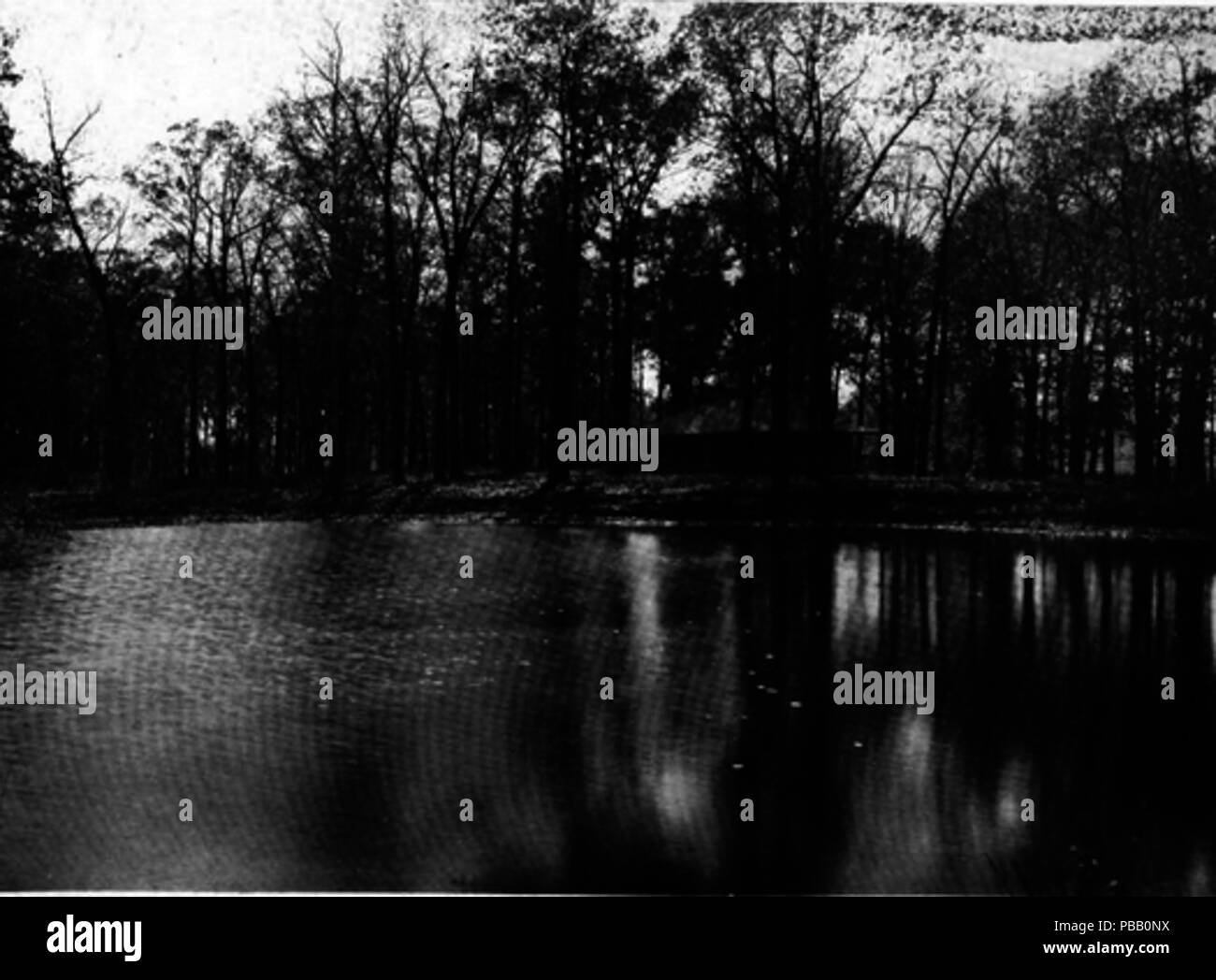 Looking across pond hi-res stock photography and images - Alamy