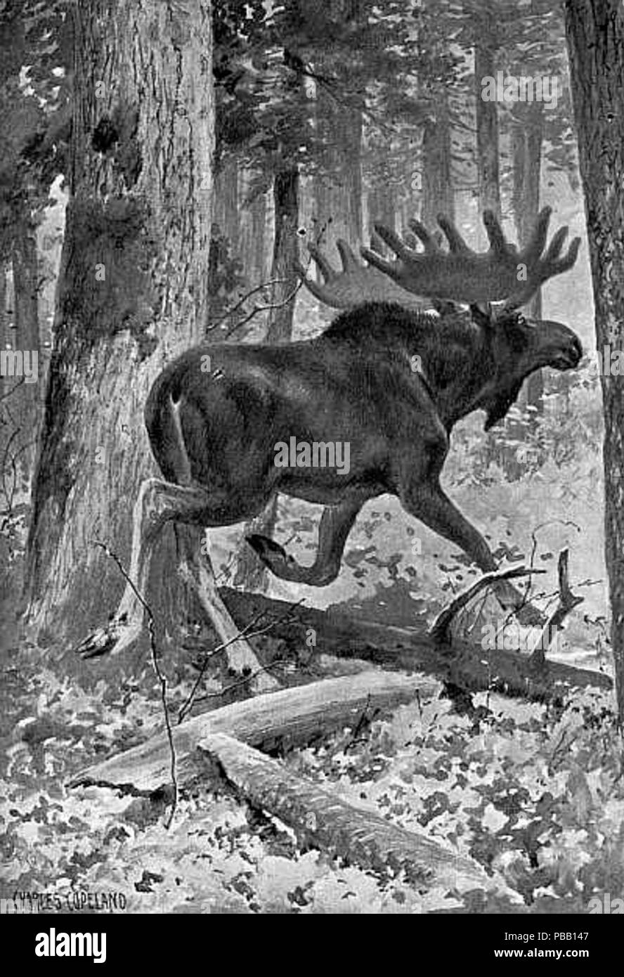 Charles copeland hi-res stock photography and images - Alamy