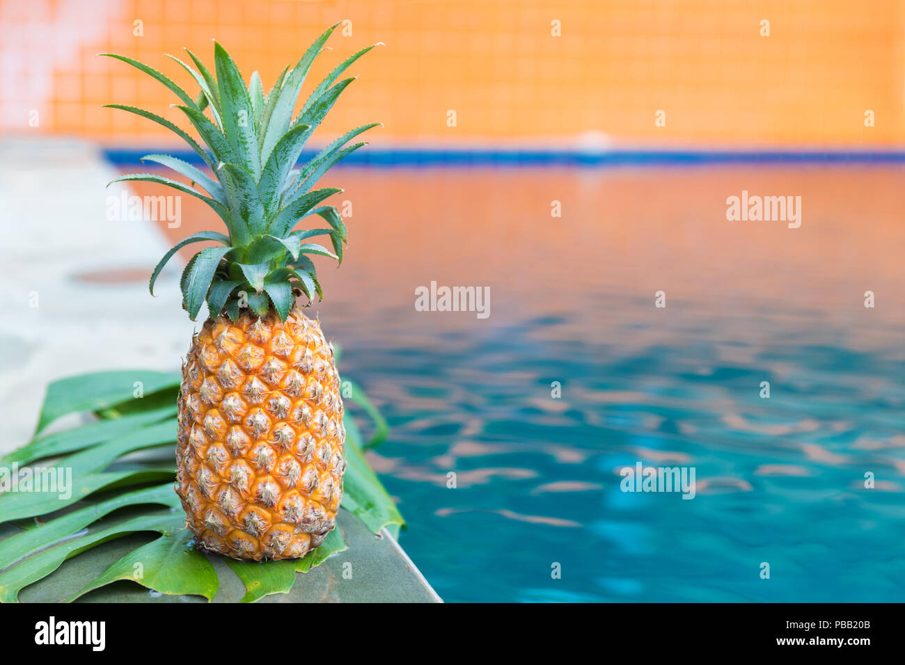 Fresh yellow pineapple tropic fruit summer refreshment near swimming ...