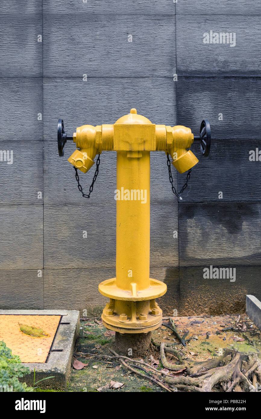 Fire hydrant on a street in Kuala Lumpur to prevent danger risk Stock ...