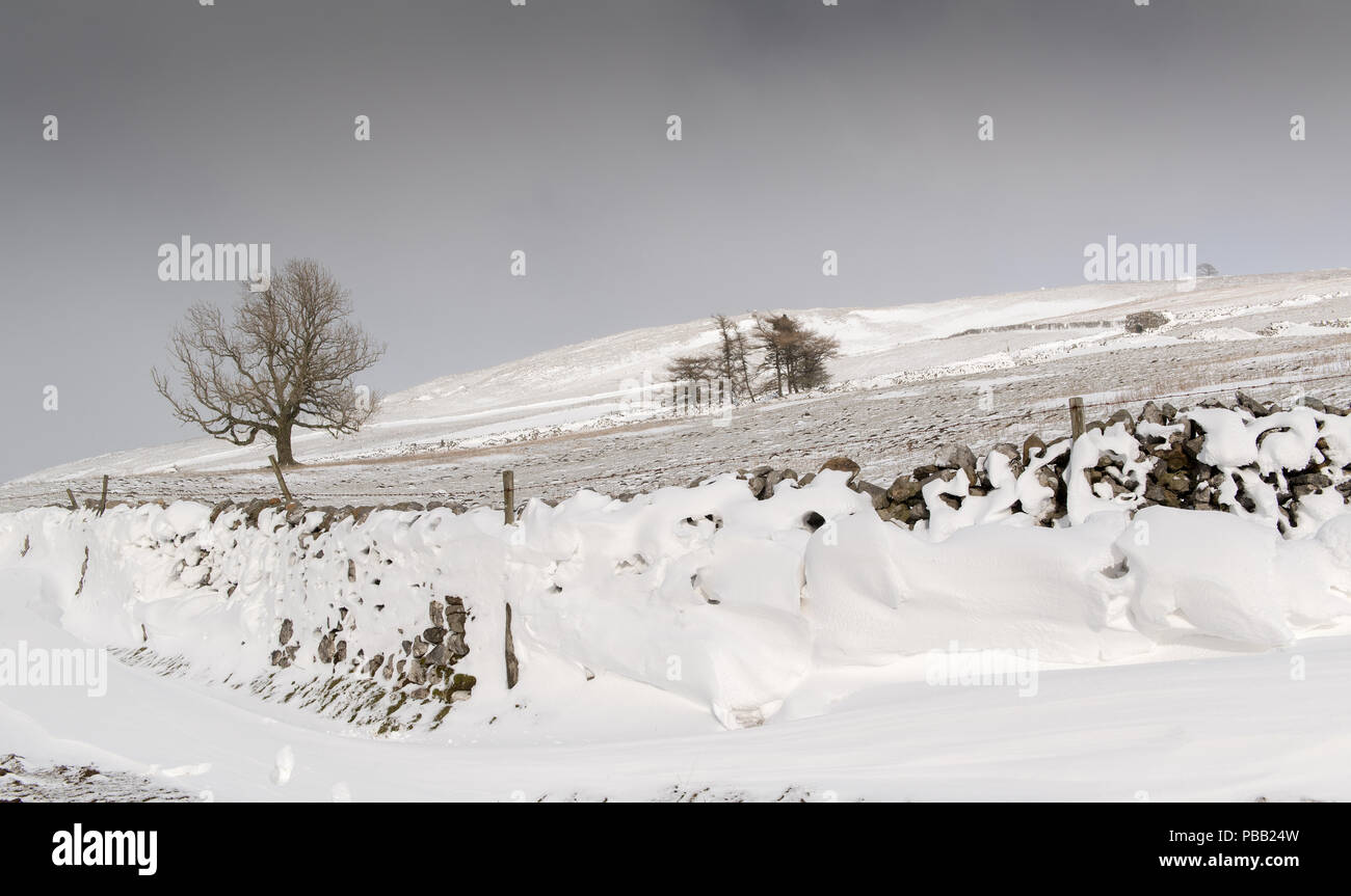 Snow drifts formed at the back of dystone walls after a snow storm in ...
