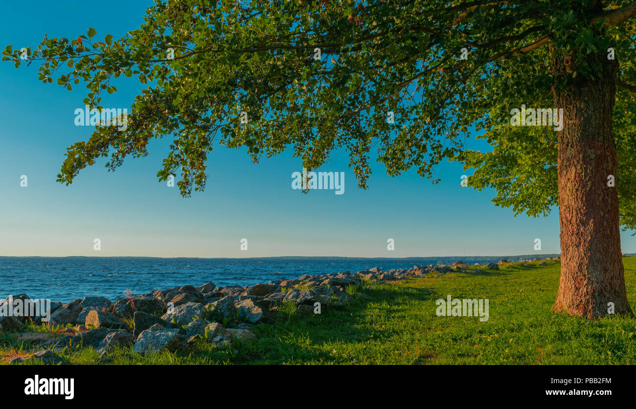 Grass trees lake rocks hi-res stock photography and images - Alamy