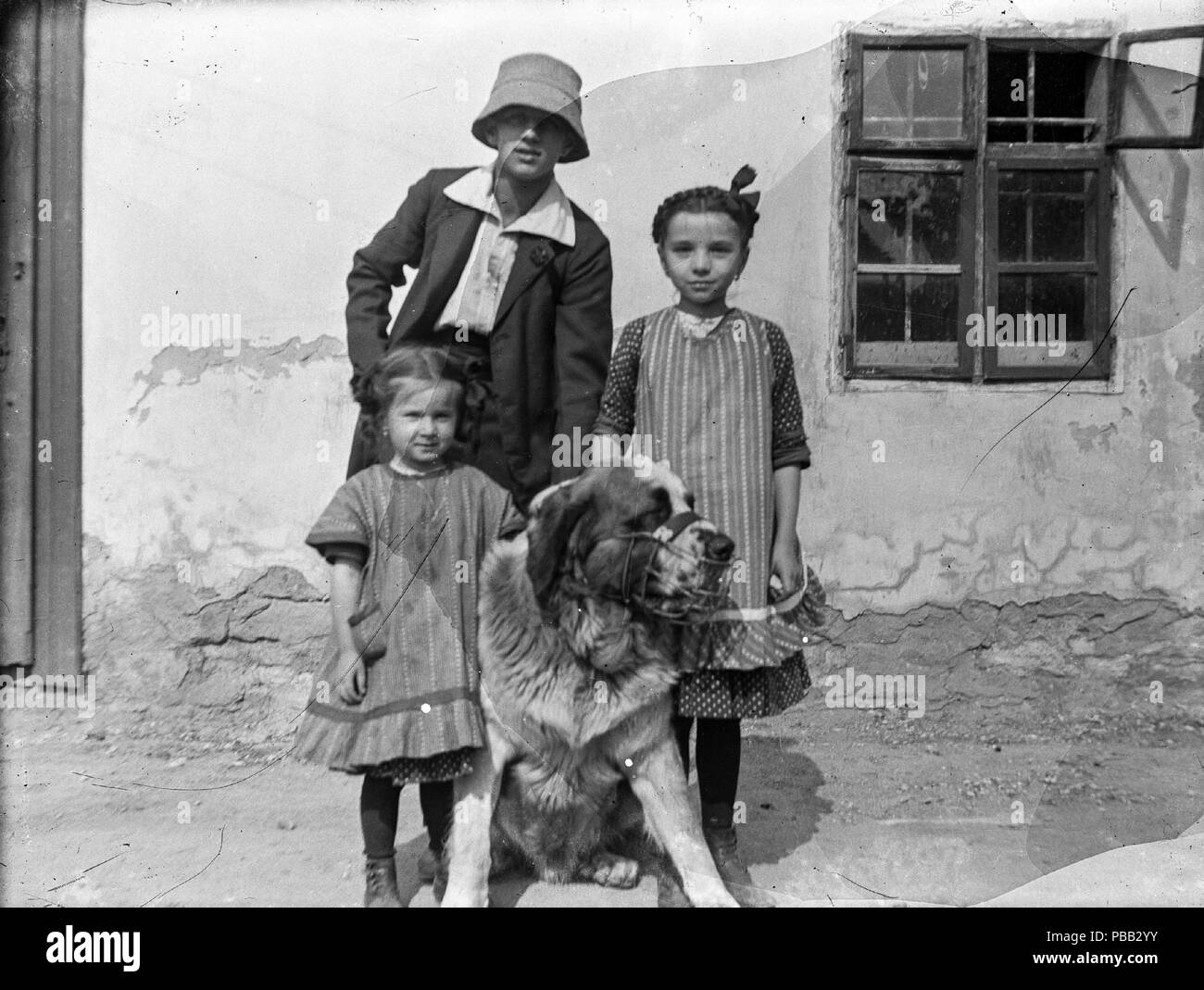 1073 Muzzle, kid, Saint Bernard dog, girl Fortepan 62705 Stock Photo ...