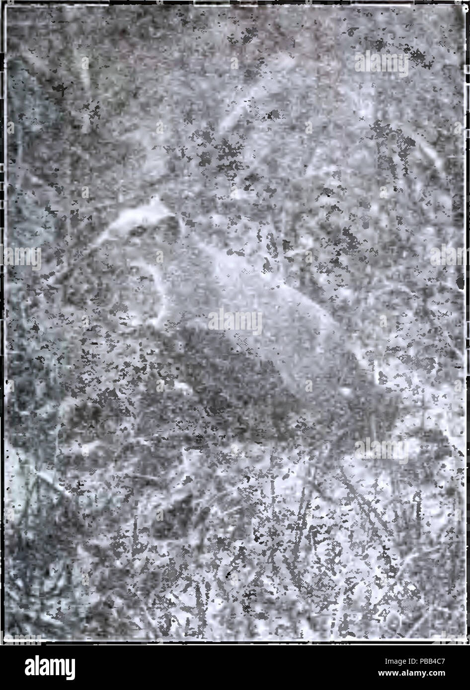 F 20a hi-res stock photography and images - Alamy