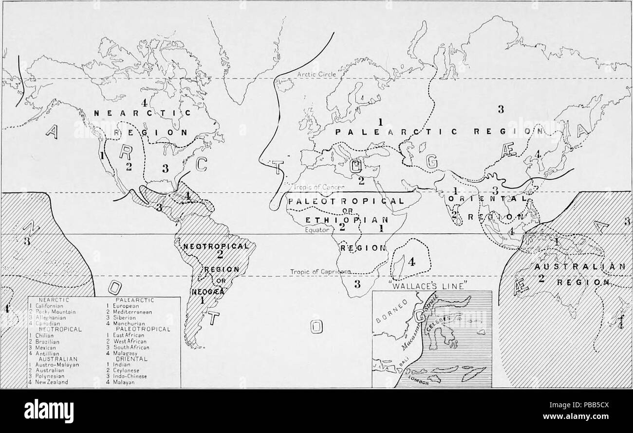 1101 NIE 1905 Distribution of Animals - zoogeographical regions Stock ...