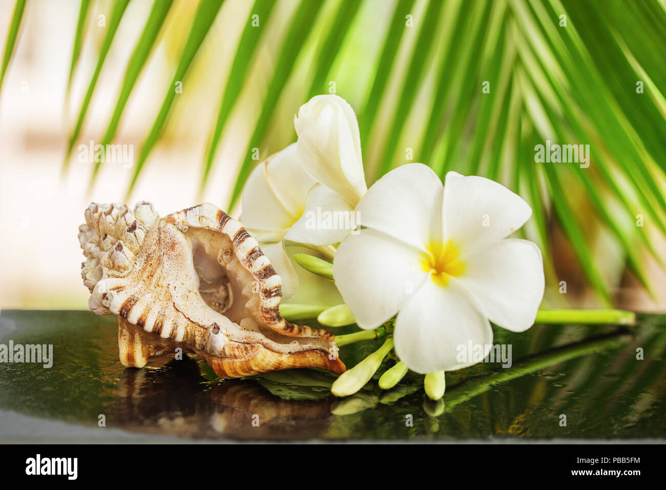 Tropical spa concept sea hi-res stock photography and images - Alamy