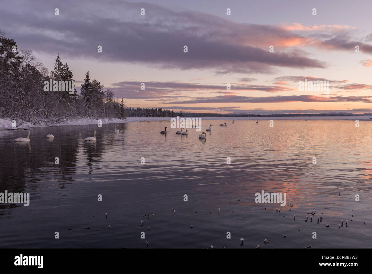 The nature of lapland hi-res stock photography and images - Alamy